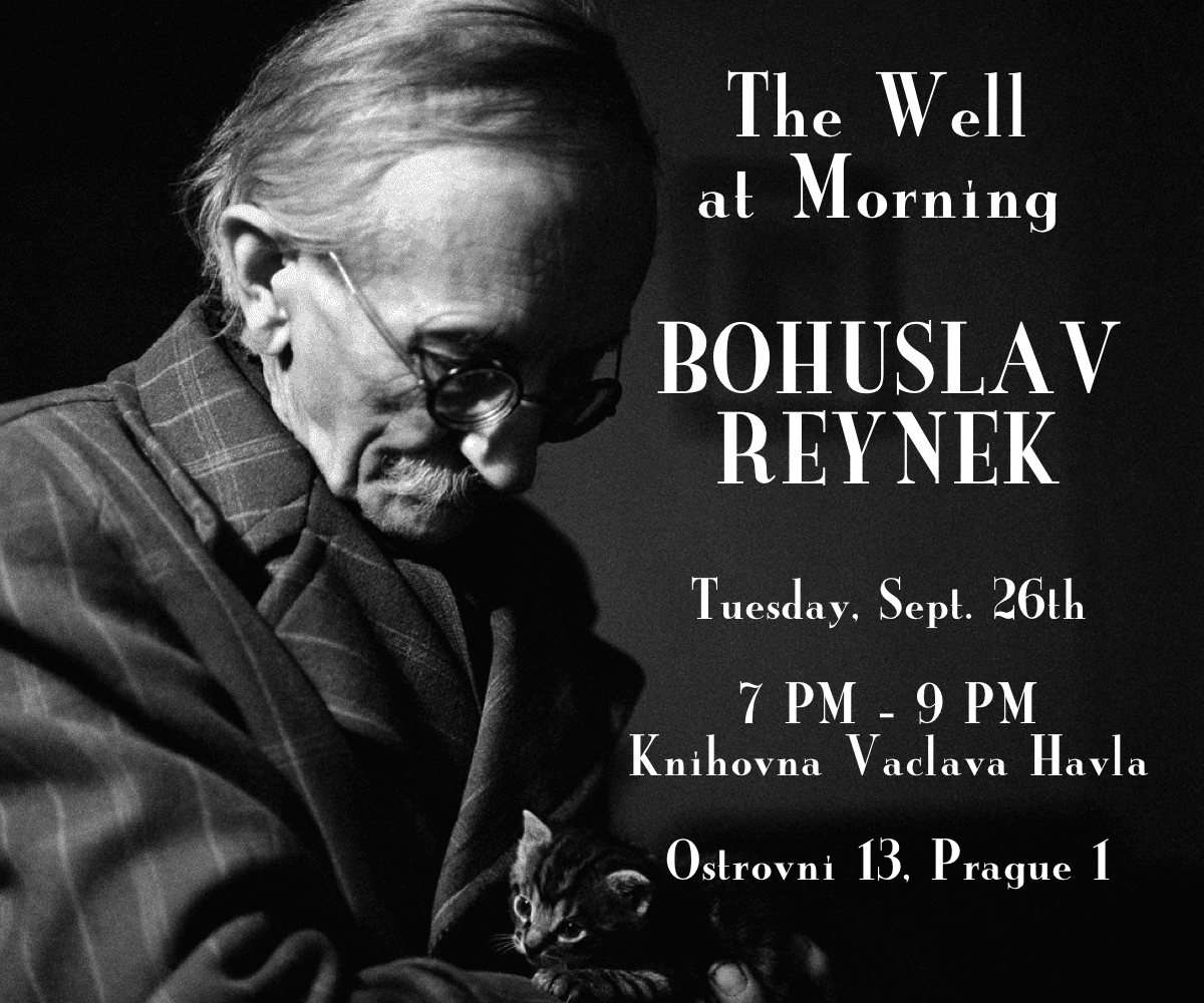 Mirjana Novakovic | B O D Y